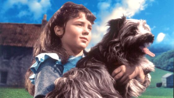 Greyfriars Bobby: The True Story of a Dog – Rakuten TV